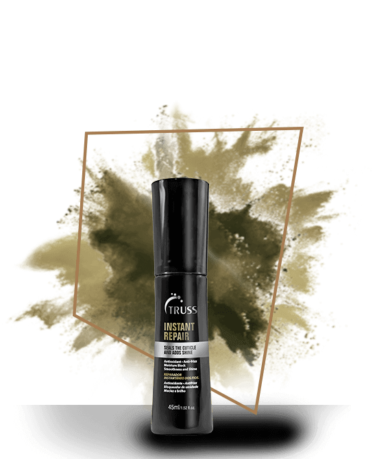 INSTANT REPAIR - TRUSS PROFESSIONAL